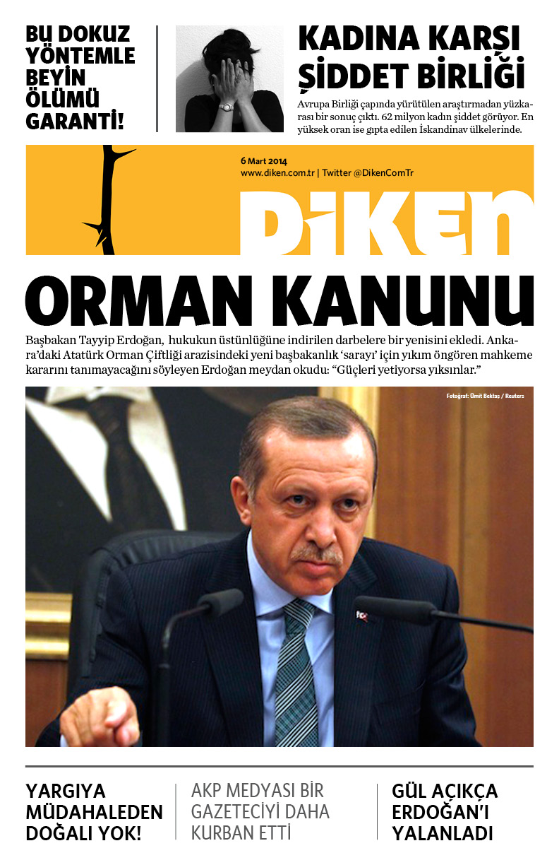 6 Mart 2014 - Diken