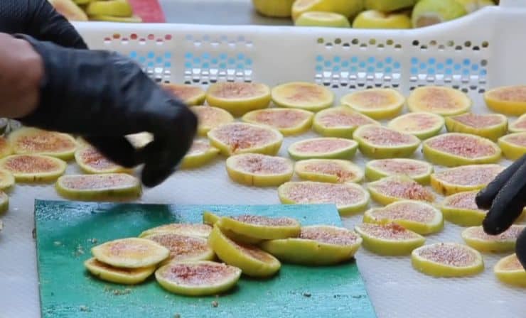 Aydın'da 'incir cipsi' mesaisi başladı - Diken