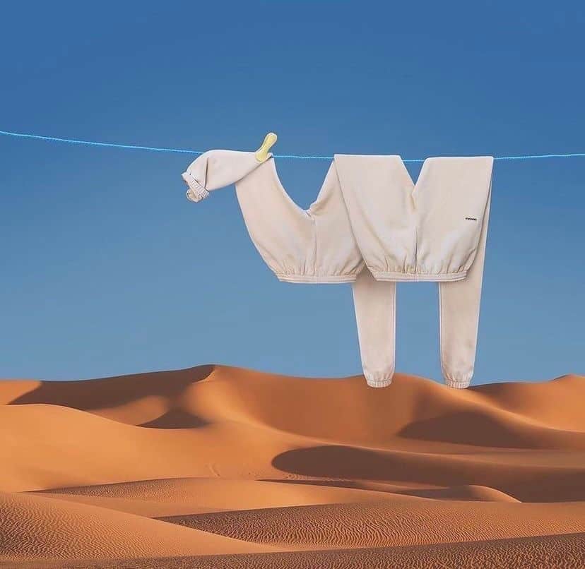 Çamaşır asma sanatı - Diken