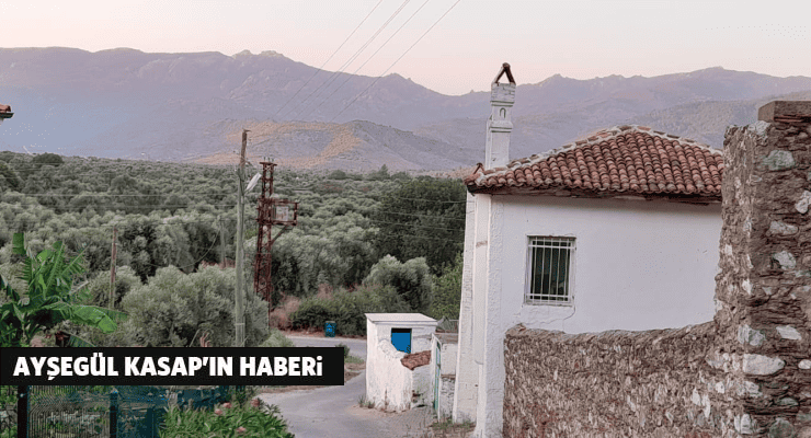 Milas'ta 'talan' cenderesi: Arkeolojik ve zeytinlik alana boksit madeni ...