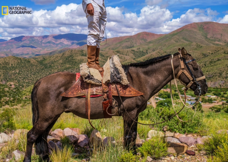 National Geographic yılın fotoğrafları: Beş büyüleyici görüntü - Diken