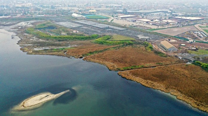 İzmit Körfezi'nden 110 bin kamyon çamur çıktı - Diken