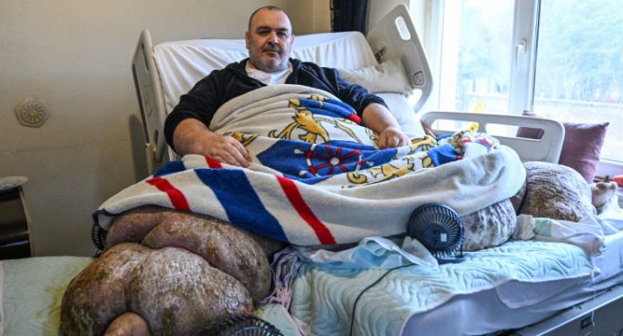 300 kiloluk fil hastası, özel ekiple Kayseri'den Ankara'ya götürüldü ...